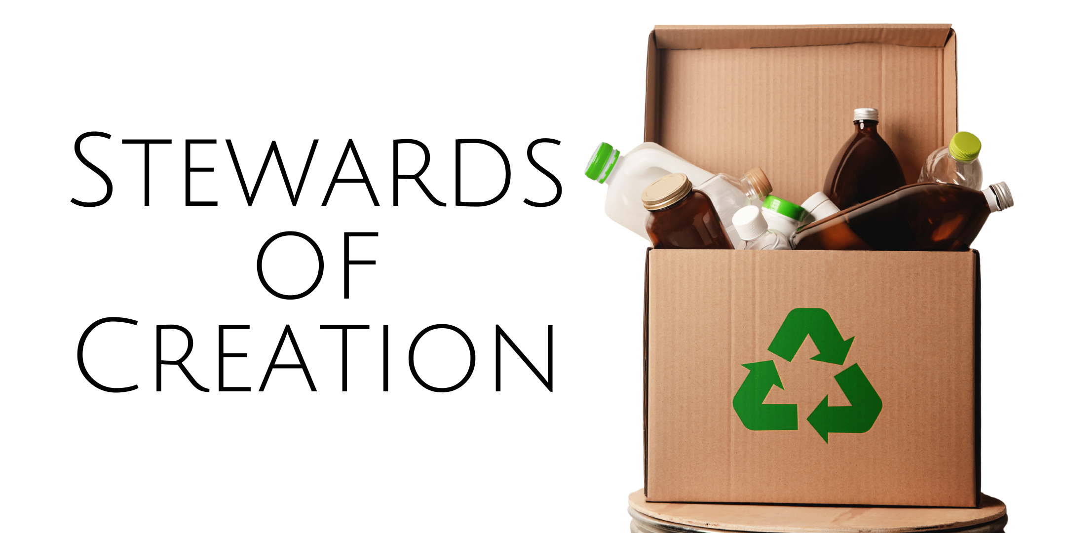 Stewards of Creation